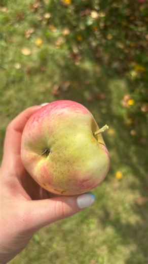 Mrs. G on Instagram: "🙃 art in math class? Honestly I love when this student draws in math. He has a fascinating way of connecting detailed images to math concepts almost daily (besides just drawing from our textbook😅). If drawing the “1st turtle” helps him understand what 1st means, then I consider that a successful math AND art lesson! Formative education doesn’t neatly categorize or separate subjects, it’s always seeking to connect them! 🐢 and I’m sure Mr. Math Turtle feels real happy abou