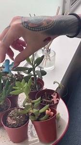 20K views · 492 reactions | We've got a secret to tell you...狼 No, it's NOT that Boba's been hiding tiny plastic babies around the office (again)—we've rebranded our shorts channel! Subscribe to Yogsca.st/yogscastshorts on YouTube, the new home of all things bite-sized & Yoggy (like this gem). | The Yogscast | Facebook