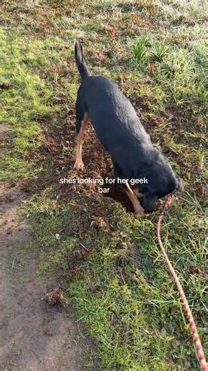 They Grow Up So Fast: A Relatable Parenting Journey