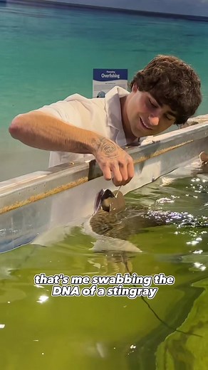 Cloning a STINGRAY in a DNA Laboratory 🧬