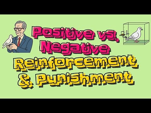Positive vs. Negative Reinforcement & Punishment