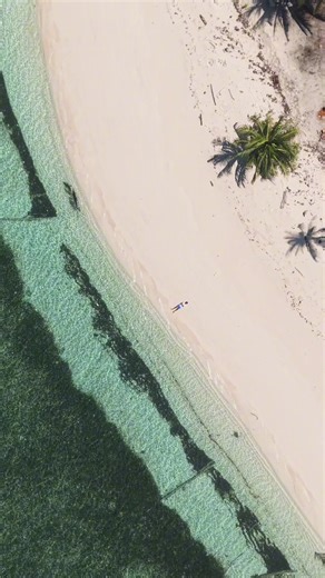 Where My Thoughts Finally Soften - A Tropical Escape