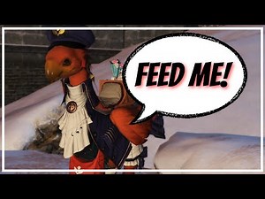 How to DYE your own CHOCOBO: quick & easy guide!