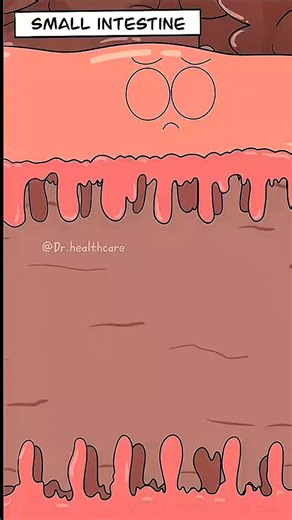 yahia alzoubi | Why your poop comes out in different colors?? #health #fact #education | Instagram