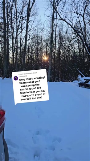 Replying to @echoducky 😁 Enjoy #voicereveal #sunset #masktok