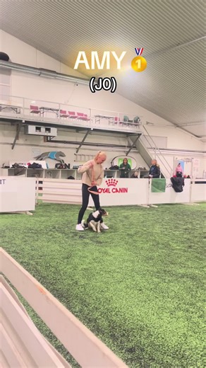 Meet Amy: A Champion in Agility