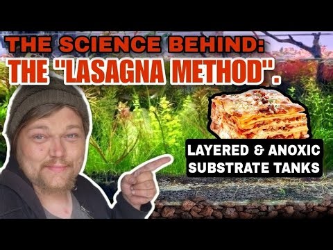 The Science of Anoxic & Layered Substrate Aquariums. The Lasagna Method. A DEEP DIVE How To Guide!