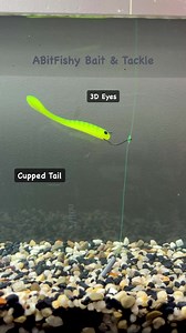 You can pick up this Drop Shot Setup at ABitFishy Bait & Tackle. Link In Bio. | ABitFishy