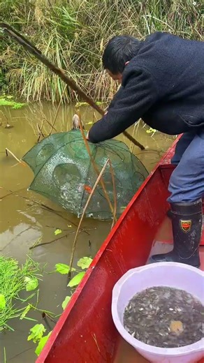 Fishing net | Catch fish. | Outdoor fishing Mar 17 #fishing #shortsviral