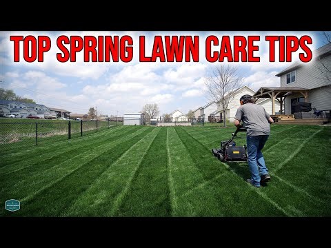 Top 7 EARLY SPRING Lawn Care Tips 2023