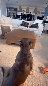 305K views · 13K reactions | My papa was interviewed on @cbssundaymorning today. I really enjoyed listening to the orchestra warm up for me. What a great way to start my Sunday. #famousmisspeaches | Miss Peaches | Facebook