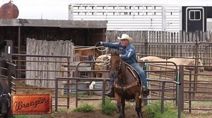 3.8K views · 80 reactions | Consistency and timing is key. Oklahoma cowboy Coleman Proctor shows us how to gain control of the steer's front end to set up a quick shot on the backside. #HatTipTuesday | Wrangler Western | Facebook