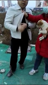2.5M views · 11 reactions | CHINA: LADY STANDS UP TO AN ANIMAL...