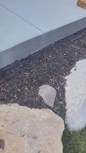 1.1M views · 16K reactions | Viral Posts on Reels | Facebook