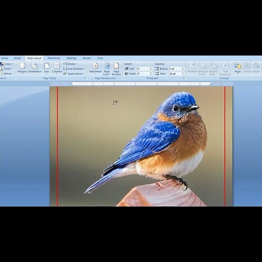 How to Add Watermark in Ms Word
