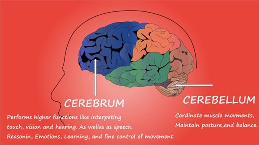 The Teacher Writes Homework