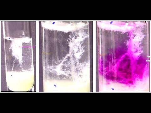 Extraction de l'ADN des cellules d'une banane.