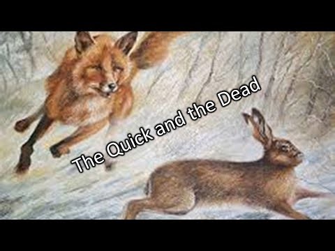 firefly Ministry: "The Quick and the Dead”