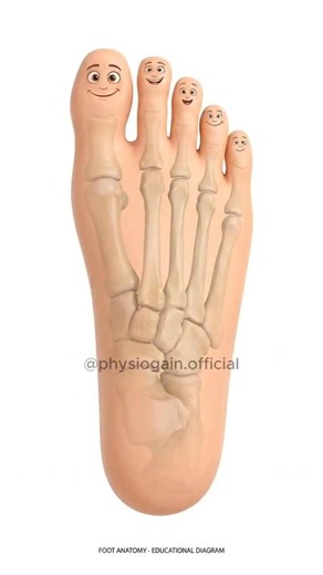 Physiogain on Instagram: "PHYSIOTHERAPY INTERVENTIONS YOU CAN DO AT HOME 🏠 1. Toe Spread Exercise Place a rubber band around all toes. Spread them apart as wide as possible. Hold for 10 seconds, release. Repeat 10-15 times daily. Benefits: Strengthens abductor hallucis muscle, reduces toe crowding 2. Short Foot Exercise Sit with foot flat on floor. Press big toe down while lifting other 4 toes up. Hold 5-10 seconds. Repeat 10 times per foot. Benefits: Activates intrinsic foot muscles, improves 