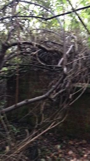 What a transformation  . . . #parkour #freerunning #diy #restoration #project | Ryan Ashley Pearson | Facebook