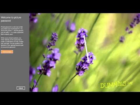 How to Set Your Windows 8 Password For Dummies