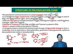 L3: Structure of Polynucleotide Chain by Vipin Sharma