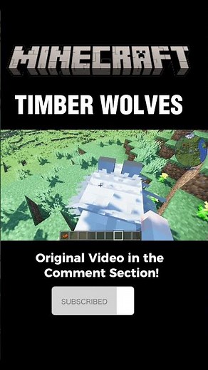 Timber Wolves in Minecraft 🐺! #shorts #minecraft #wolf
