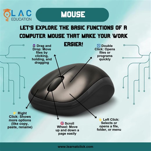 LAC Education on TikTok