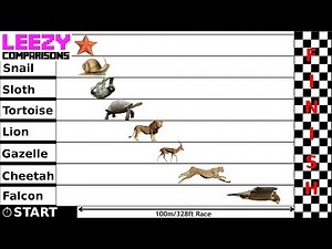 Speed Comparison: Slow VS Fast | LeeZY Comparisons