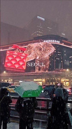 첫눈 천둥번개 폭설내리는 서울 명동거리 산책 Walking Tour of Seoul's Myeongdong Street the First Snow, Heavy Snowfall
