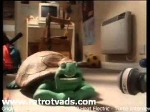 1990 Heat Electric Turtle Interview