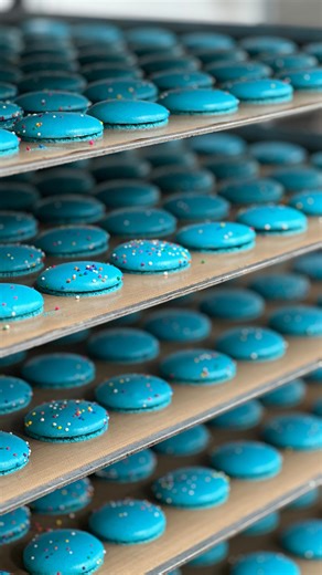 Jean-Marie Auboine Chocolatier on Instagram: "Ready to celebrate everyone’s birthday with our Birthday Cake French Macarons! This is a must on your special day! #birthdaycake #frenchmacarons #lasvegas"