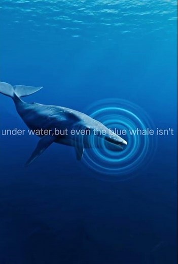 The Loudest Animal on Earth | Shocking Sound Levels That Can Kill You (Mind-Blowing Wildlife Facts)