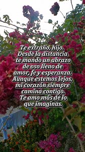 Te extraño, hijo. Desde la distancia te mando un abrazo de oso lleno de amor, fe y esperanza. | El Viajero