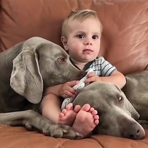 2.7M views · 11K reactions | Here's why growing up with pets can be good for your child. | Insider Animal Lovers | Facebook