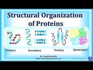 2: Structural organization of proteins |Amino acid chemistry | Biochemistry | N'JOY Biochemistry