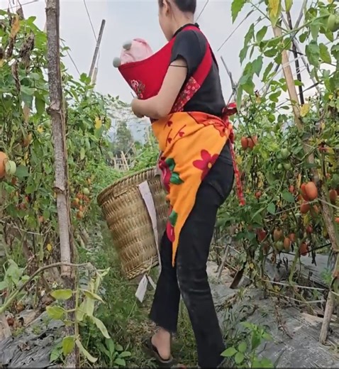 1M views · 10K reactions | Single Mother 17 Years Old - Picking Tomatoes to Sell & Buying a Breeding Chicken #mycountrylife #singlemother #singlemomlife | Tasty Life | Facebook