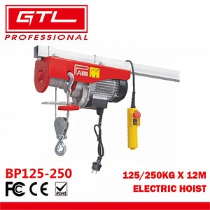 [Hot Item] 540W, 125/250kg, Hoist Scaffold Overhead Crane Double Line Lift Electric Hoist with 12m Electric Wire Hoist Remote Control Garage Auto Shop (BP125-250)