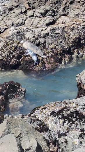 2.4M views · 10K reactions | Today, my friend and i watched a Mama...