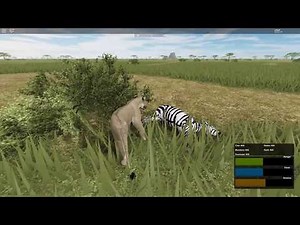 Roblox - Testing A | ''Another successful zebra hunt as a lion''