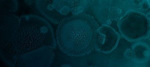 About Us - Wiley Science Solutions - Spectral libraries from Wiley