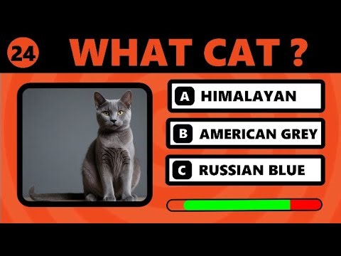 MAD QUIZ #24: Guess the CAT! (KID-FRIENDLY general knowledge FELINE quiz!) 🐱🐈‍⬛😻🐅😽