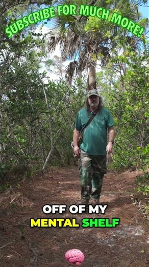 Remove Negative Thoughts & Replace Them With Positivity NOW! #shorts