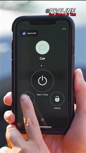 Proline Car Stereo & Tint I Remote Start Reel Stereo & Tint