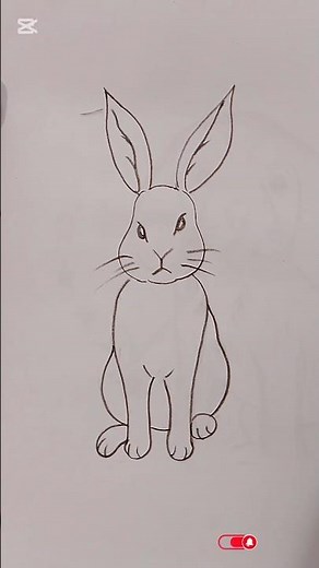 How to Draw a Realistic Rabbit in Pencil | Step-by-Step Tutorial for Beginners #drawing #art #usa