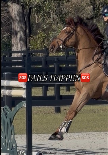Understanding Show Jumping Fails: A Humorous POV