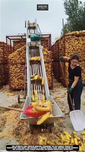 Automatic corn conveyor for fast grain handling worktool sheller system