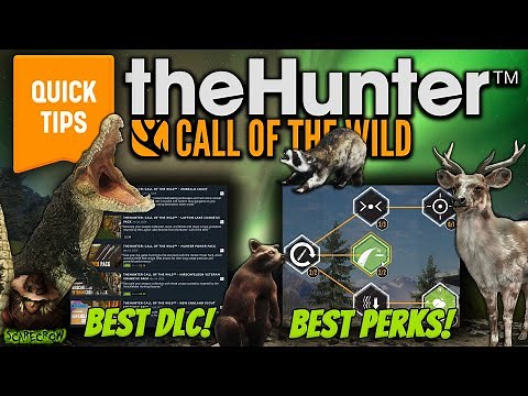 The Best Tips & Tricks Guide For New Players In The Hunter Call of the wild 2023
