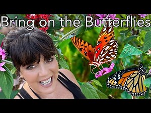 Butterfly-Friendly Plants: The Ultimate Butterfly Gardening Guide