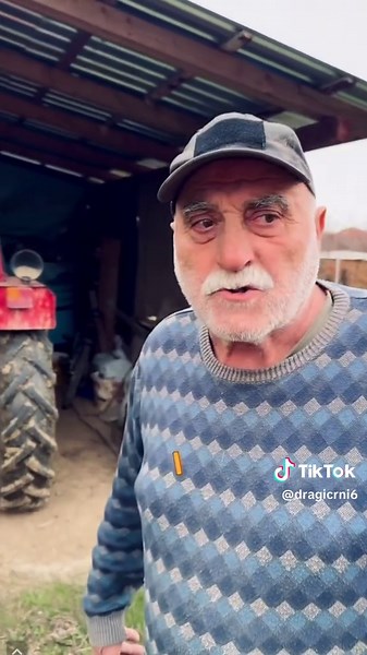 Nije Šala: Smešne Situacije sa Ljutim Medvedom